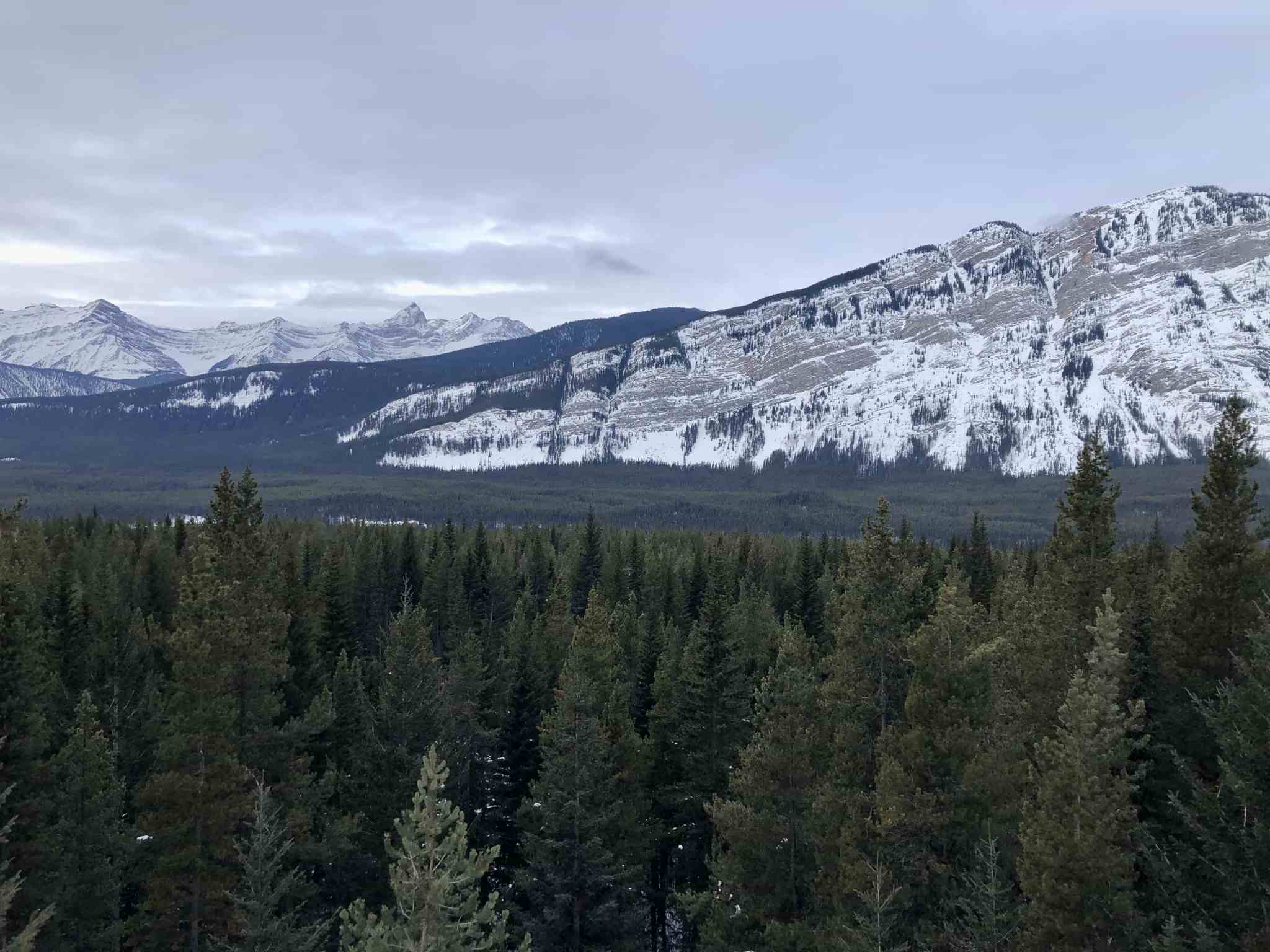 King Creek Ridge Hike in Kananaskis, Alberta - Out and Across