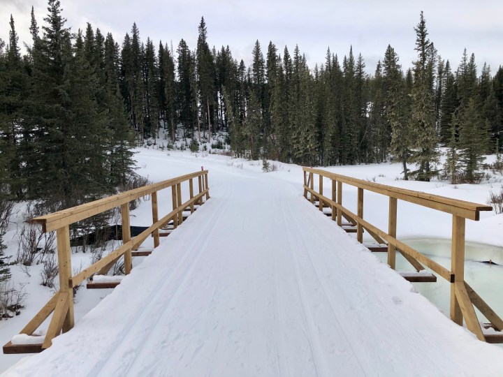 Ski Moose Loop on the West Bragg Creek Trails - Out & Across