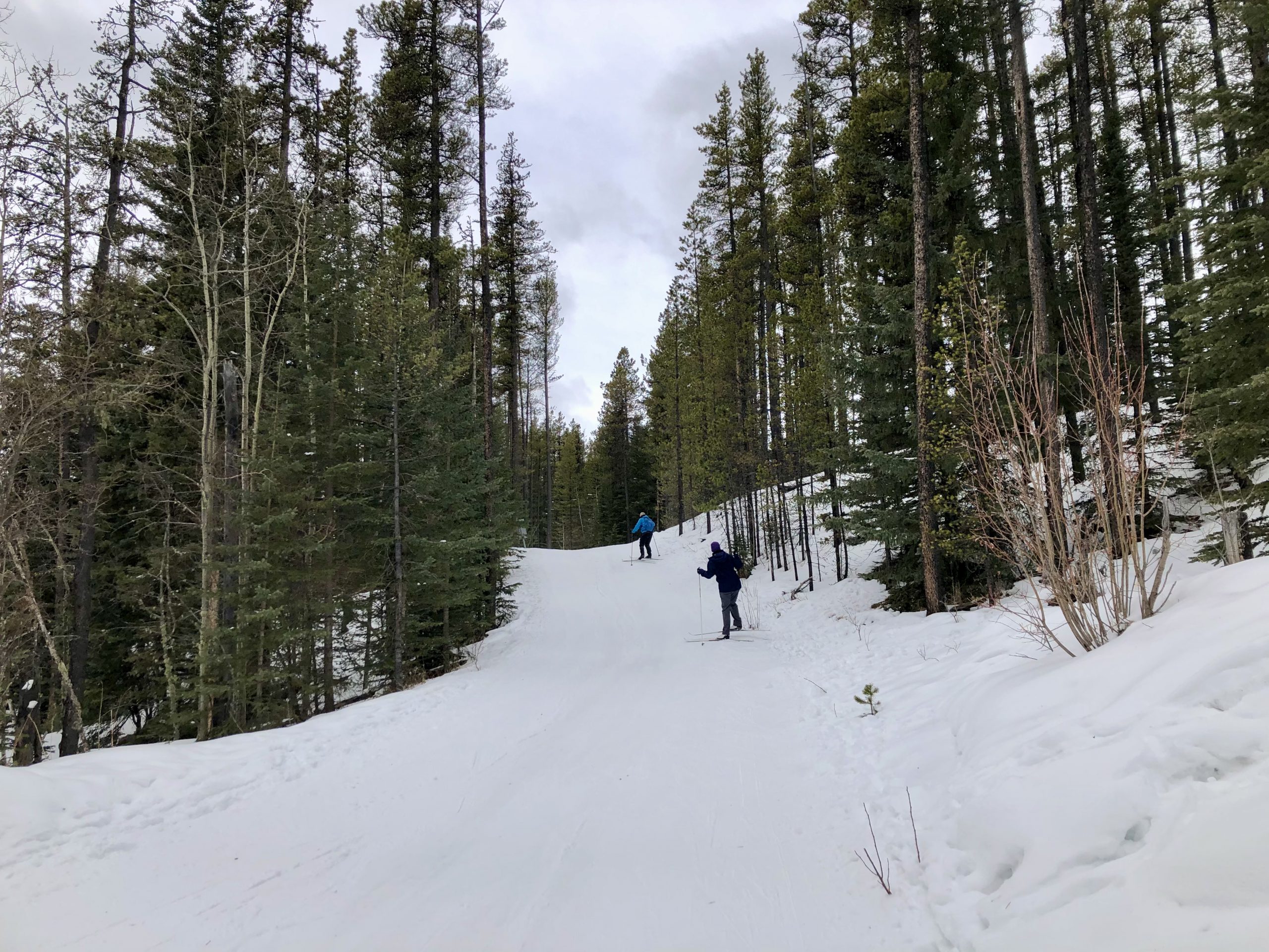 Ski Moose Loop on the West Bragg Creek Trails - Out & Across