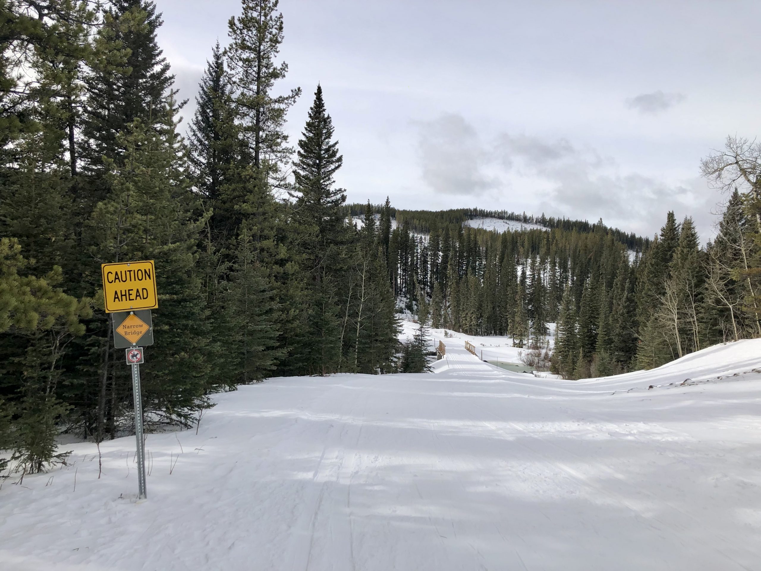 Ski Moose Loop on the West Bragg Creek Trails - Out & Across