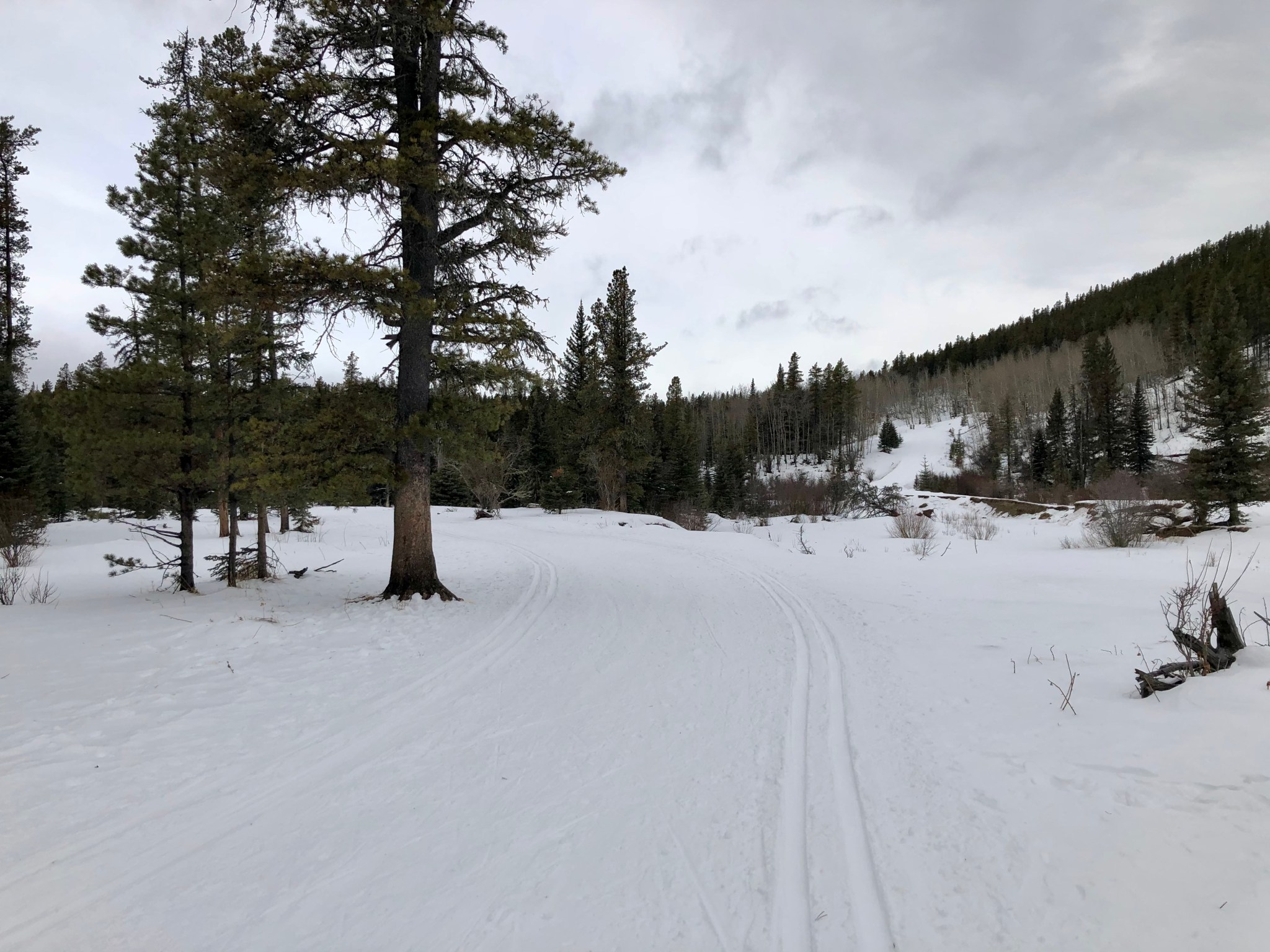 Ski Moose Loop on the West Bragg Creek Trails - Out & Across
