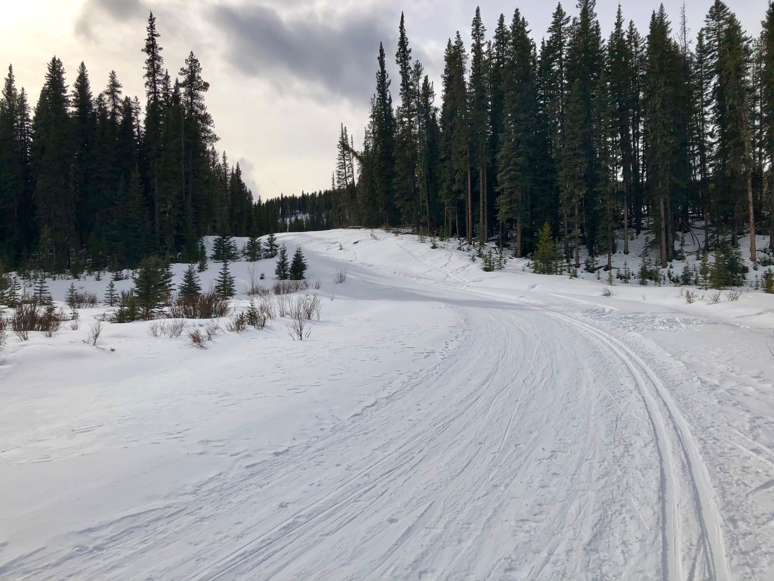 Ski Moose Loop on the West Bragg Creek Trails - Out & Across