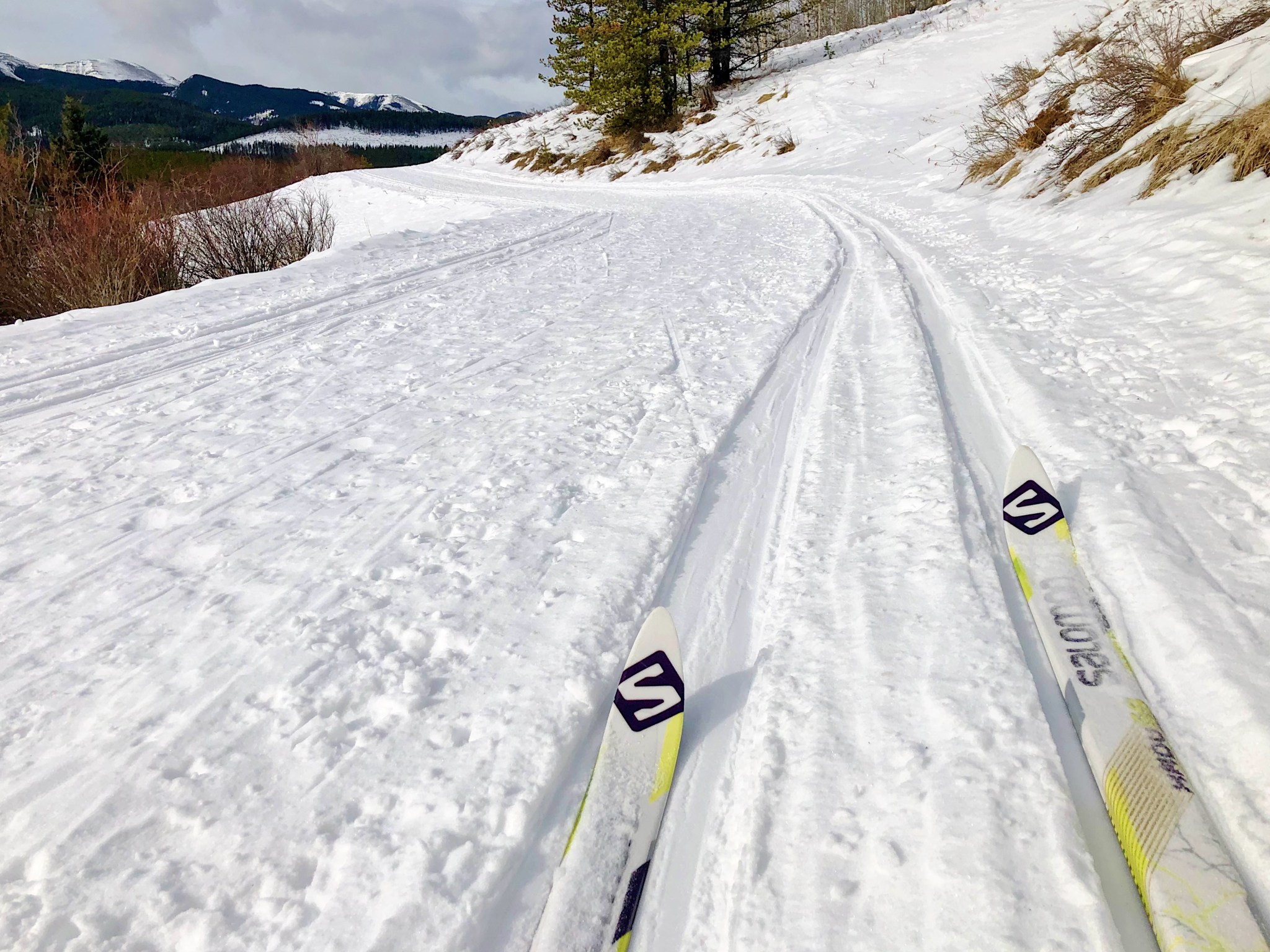 Ski Moose Loop on the West Bragg Creek Trails - Out & Across