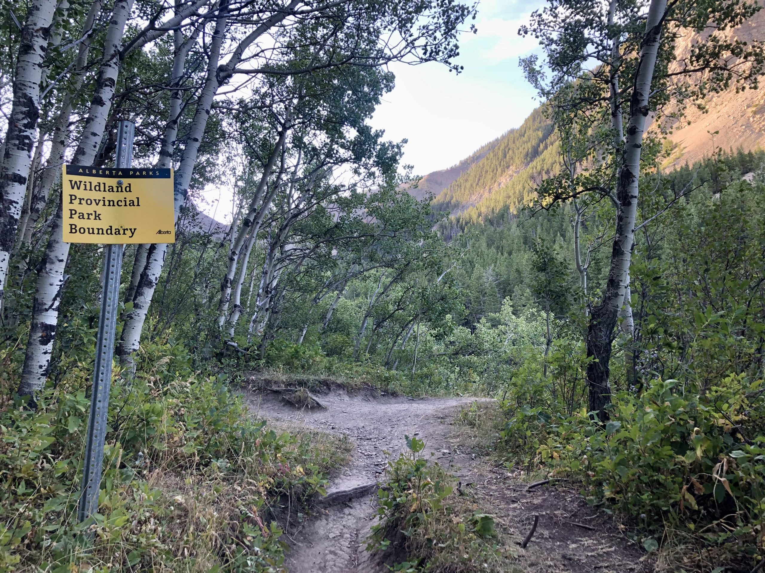 Table Mountain Hike in Southern Alberta - Out & Across