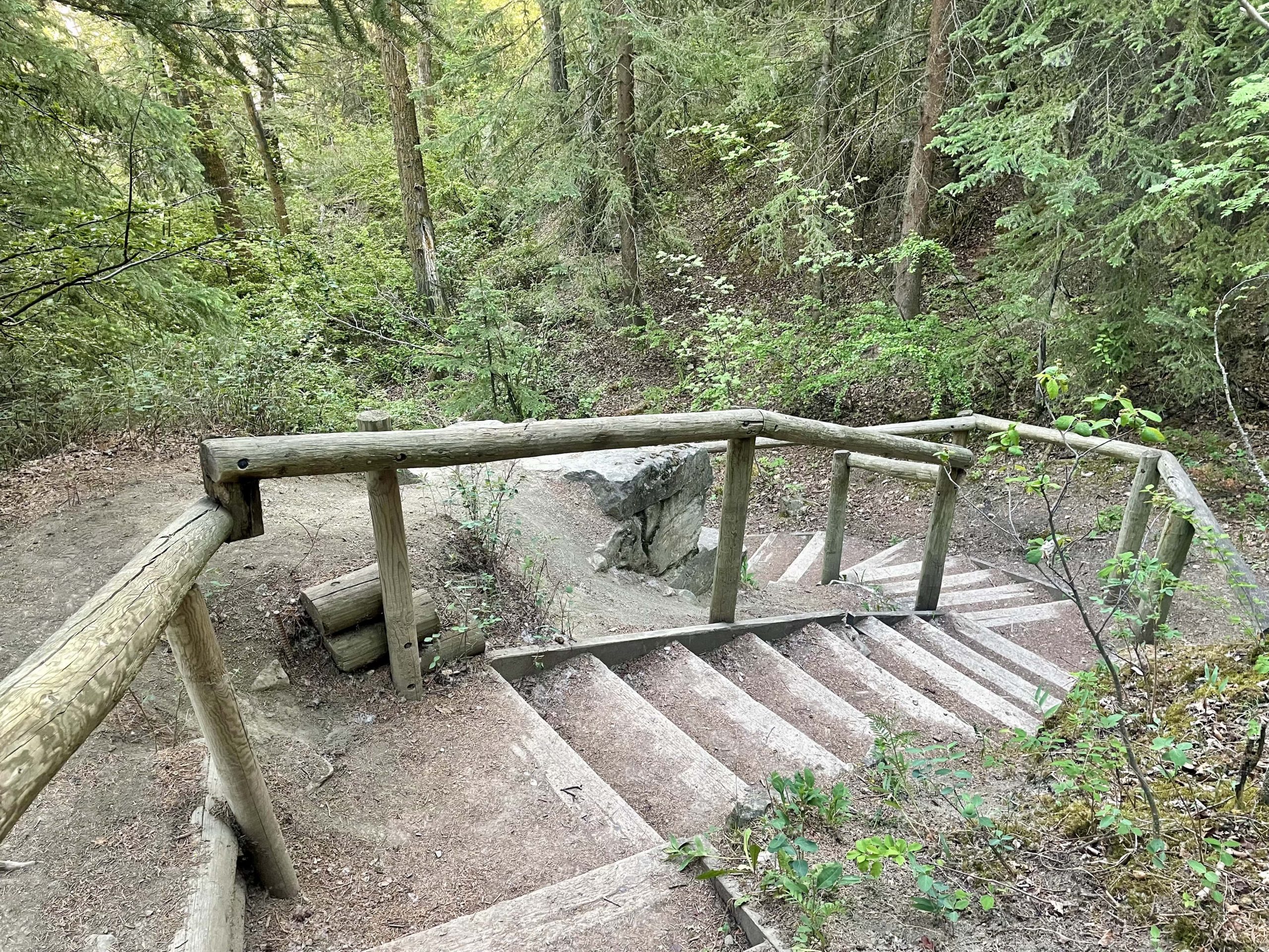 Douglas Fir Trail in Calgary's Edworthy Park - Out & Across
