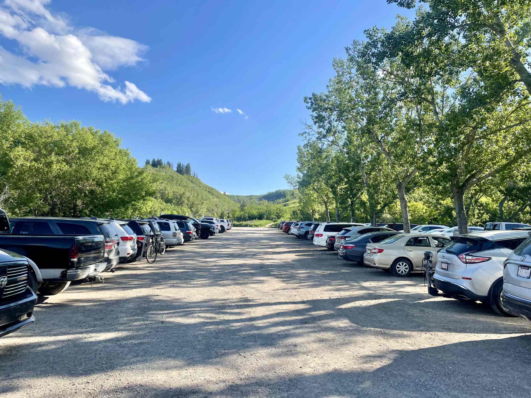 Douglas Fir Trail in Calgary's Edworthy Park - Out & Across