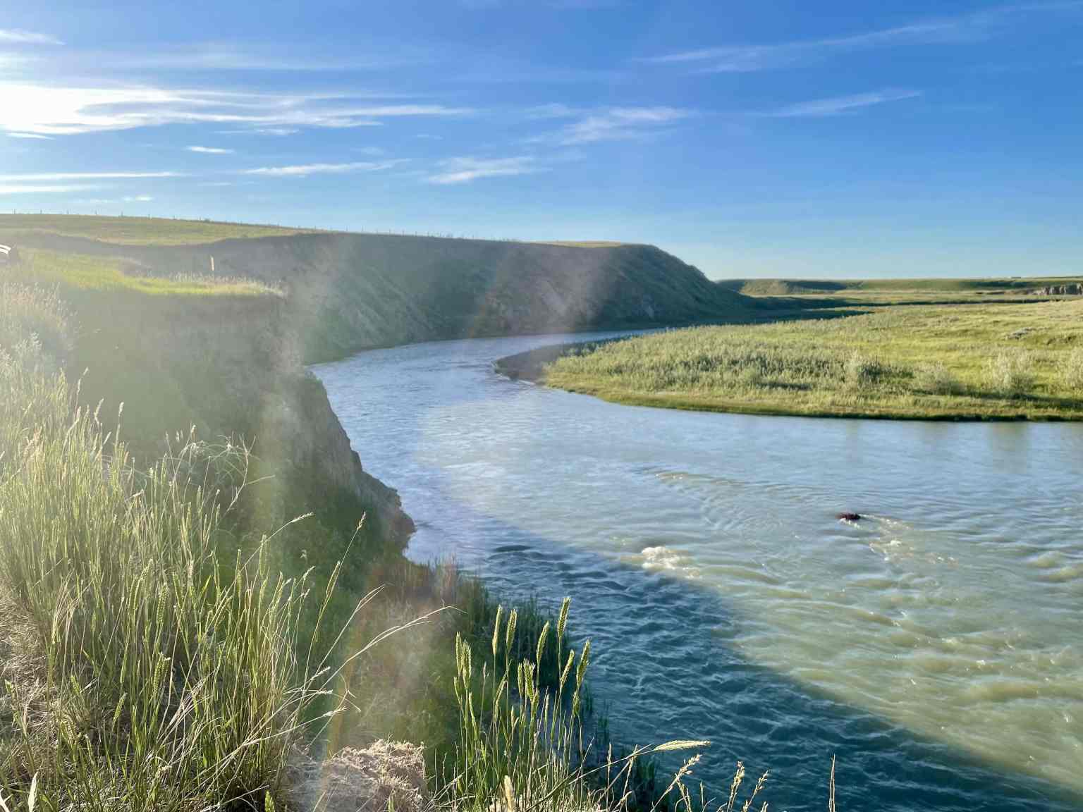 3-Day Milk River Canoe Trip in Alberta—The Ultimate Guide - Out and Across