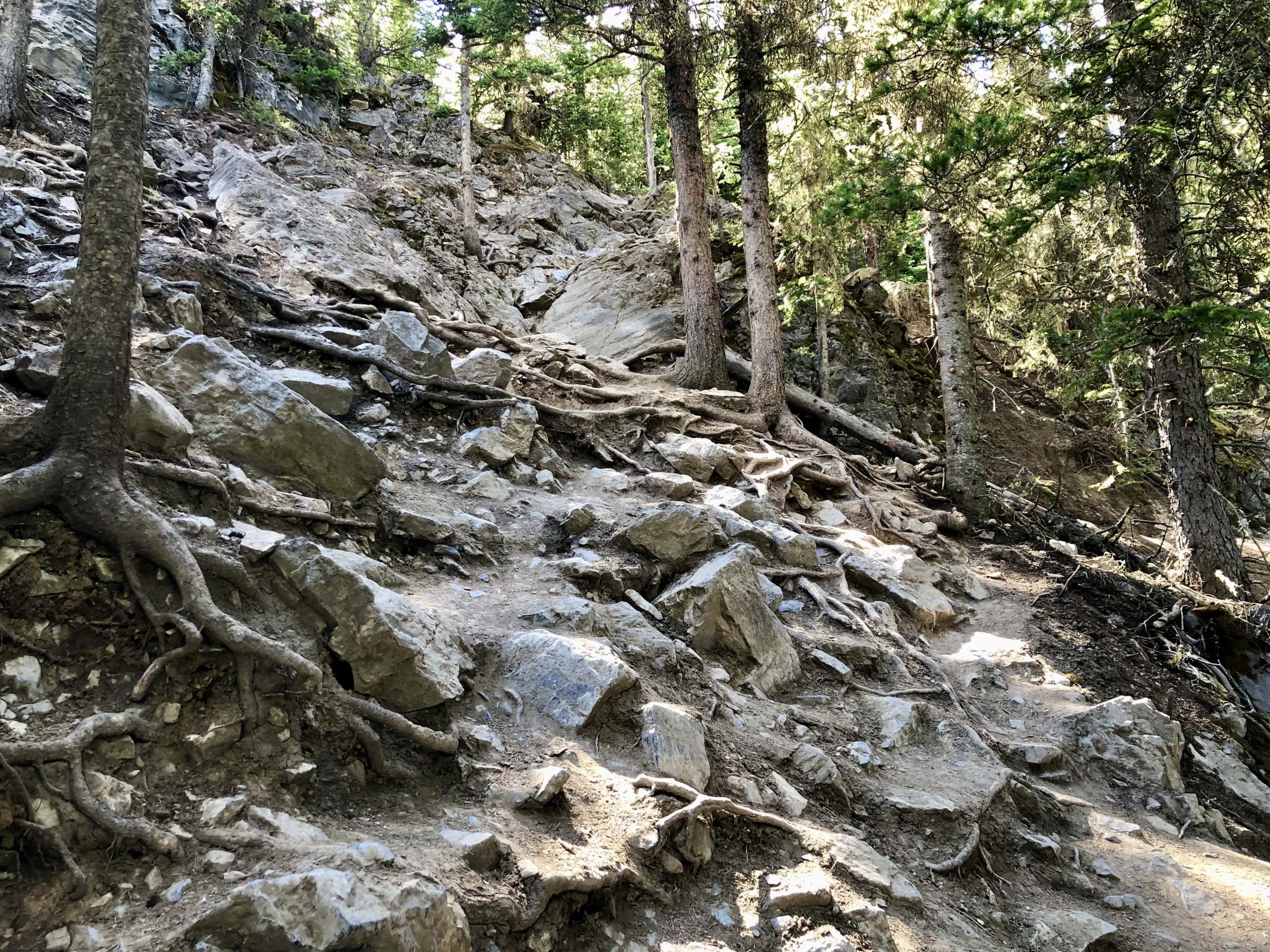 Yates Mountain via Prairie View Trail in Kananaskis - Out & Across