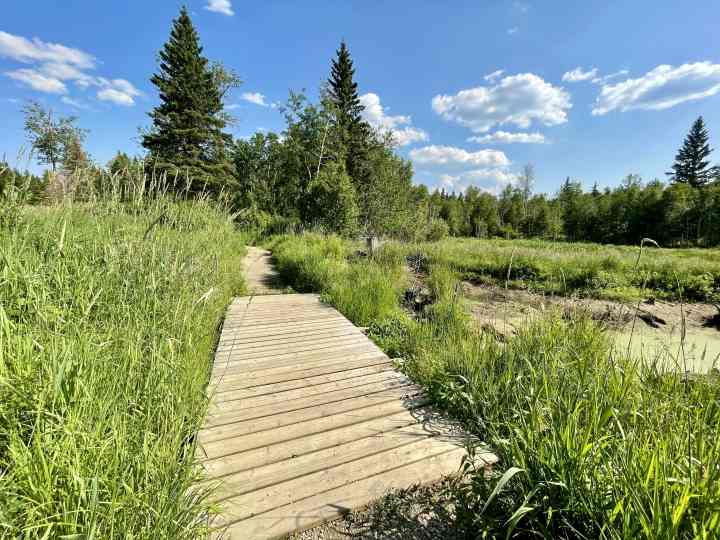 Amisk Wuche Trail: Short Elk Island Hike in Alberta - Out and Across