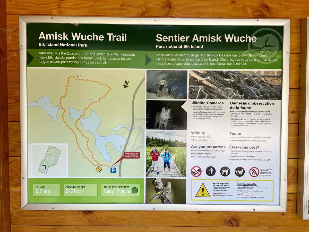 Amisk Wuche Trail: Short Elk Island Hike in Alberta - Out and Across