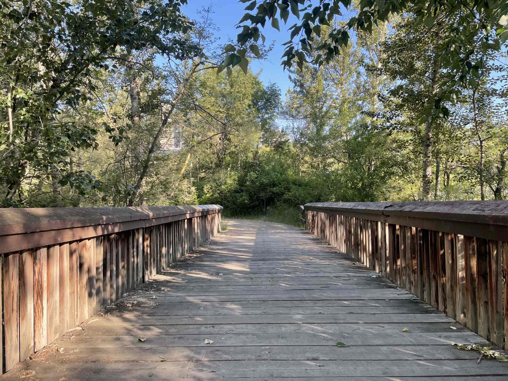 Biking in Edmonton: The Beautiful River Valley Trails - Out & Across