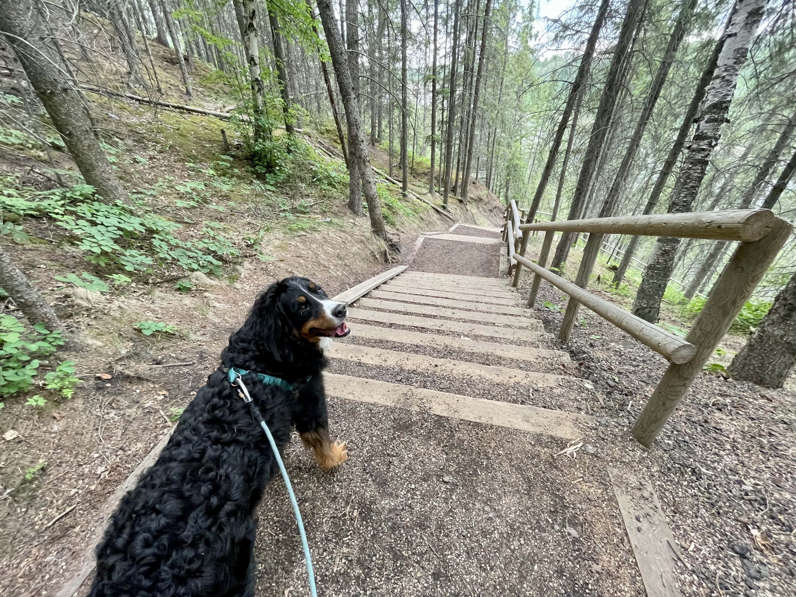 Devon River Valley Trail Near Edmonton, Alberta - Out & Across