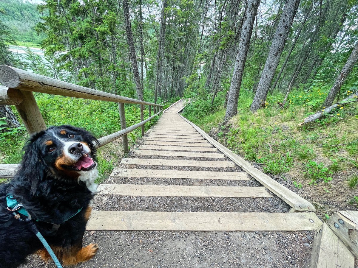 Devon River Valley Trail Near Edmonton, Alberta - Out & Across