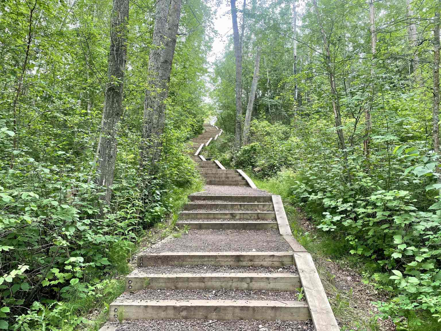 Devon River Valley Trail Near Edmonton, Alberta - Out & Across