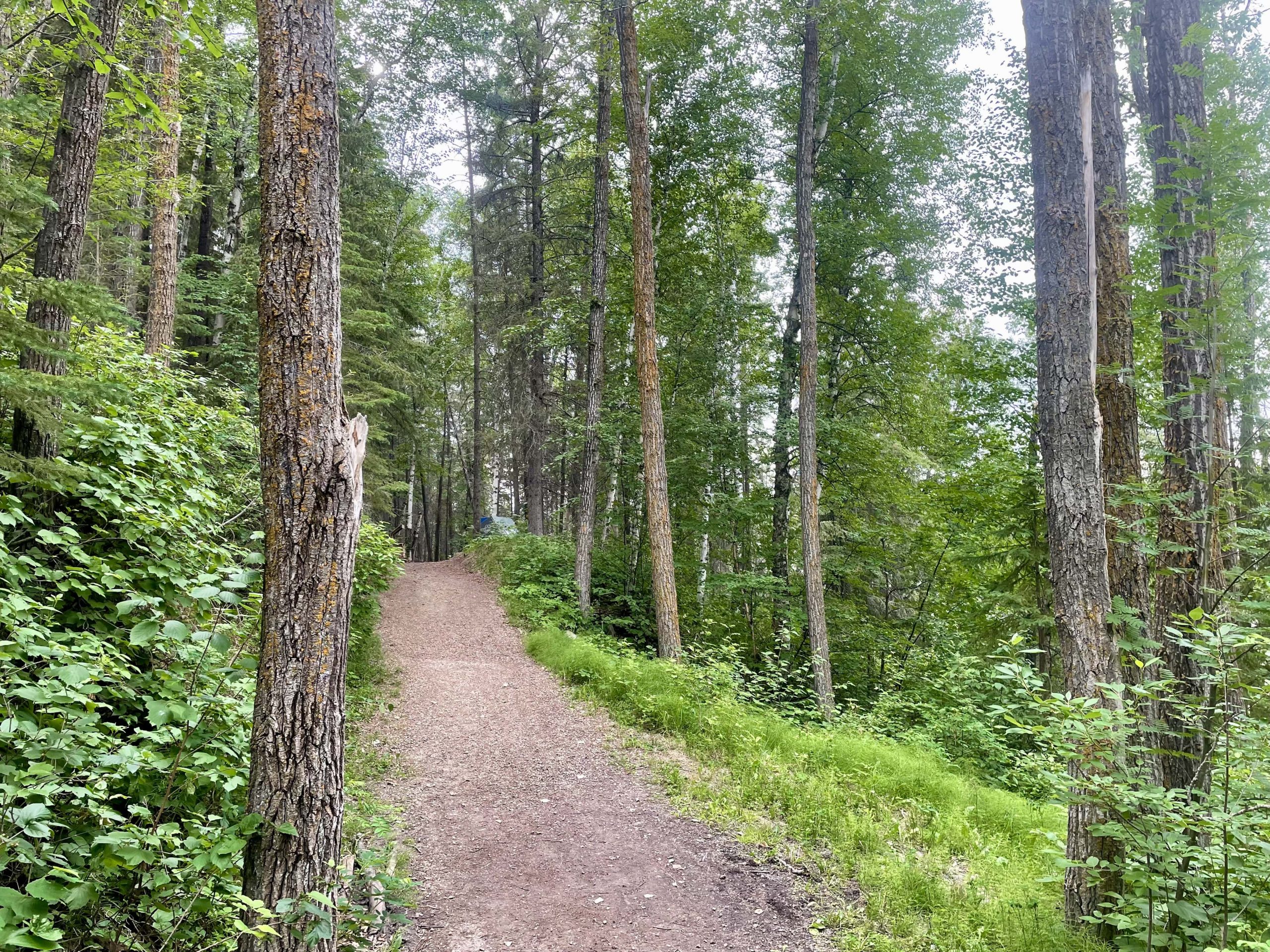 Devon River Valley Trail Near Edmonton, Alberta - Out & Across