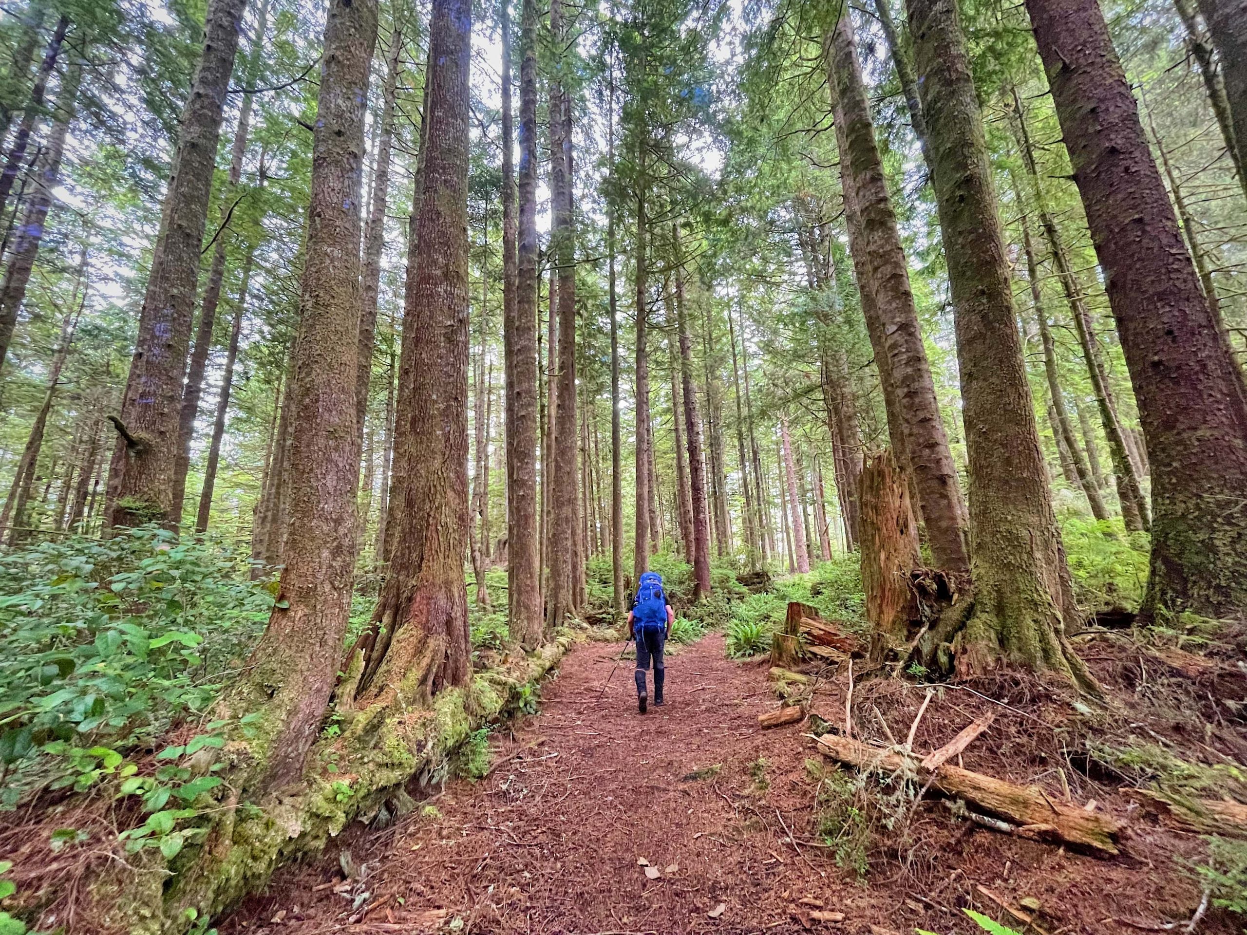 The West Coast Trail: 7 Days on Vancouver Island's Iconic Trek - Out ...