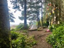 The West Coast Trail: 7 Days on Vancouver Island's Iconic Trek - Out ...