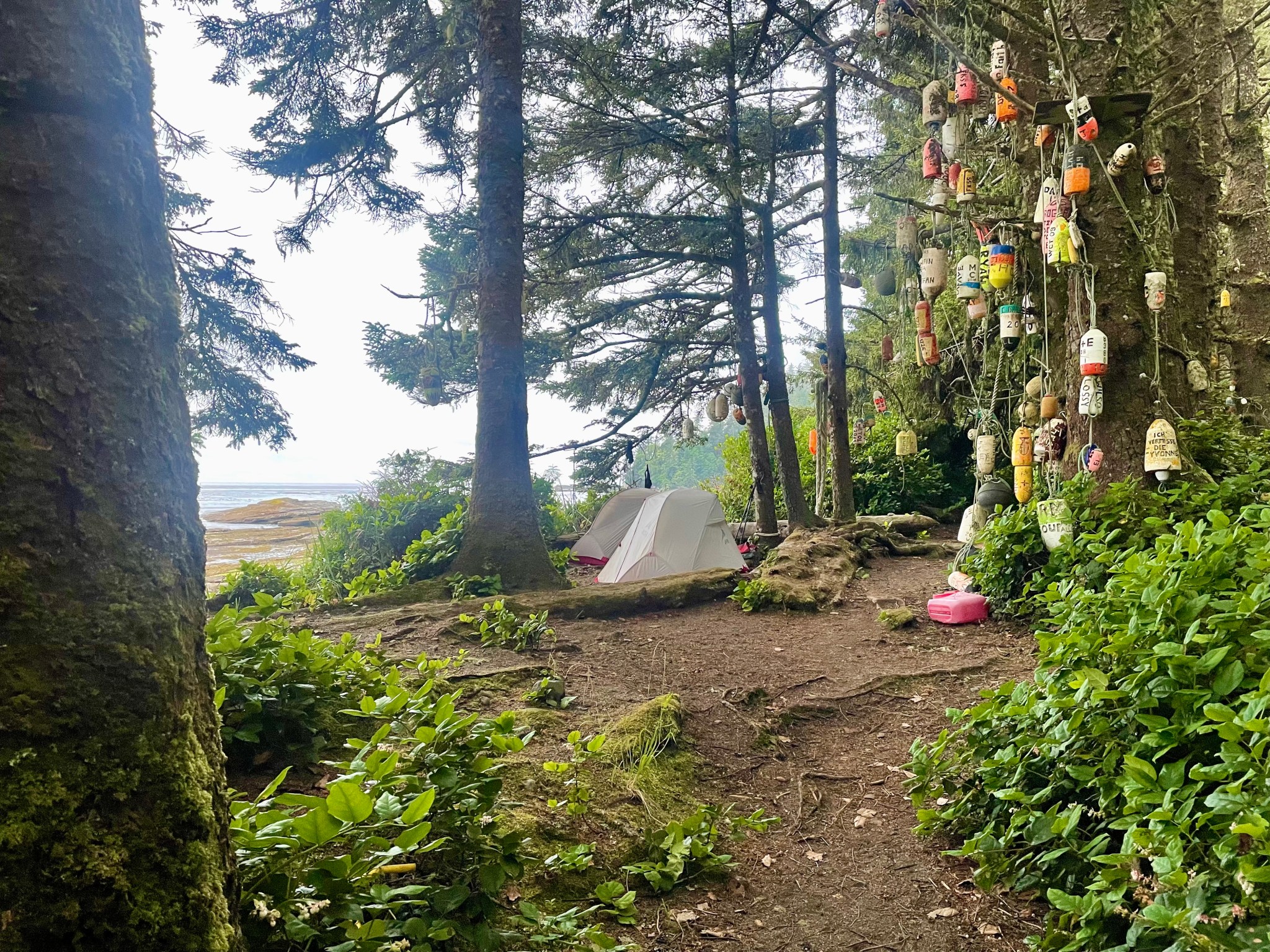 The West Coast Trail: 7 Days on Vancouver Island's Iconic Trek - Out ...