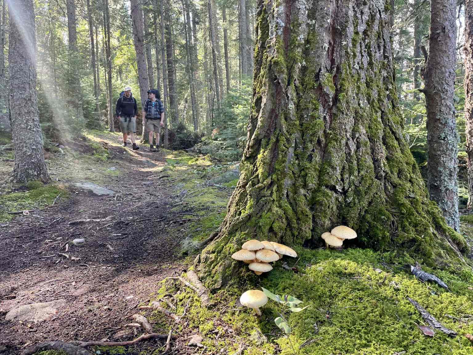 2 Days Backpacking the Grey Owl Trail in Saskatchewan - Out & Across