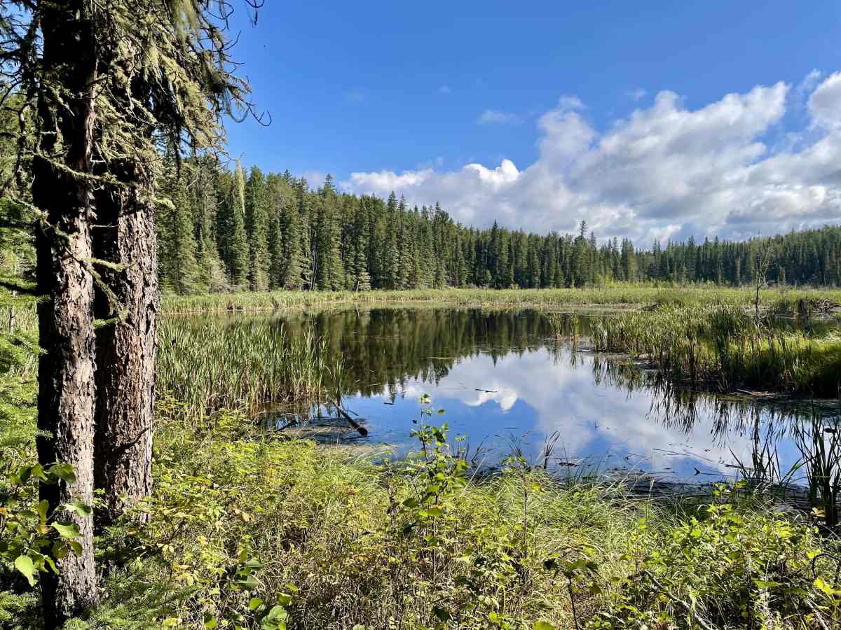 2 Days Backpacking the Grey Owl Trail in Saskatchewan - Out & Across