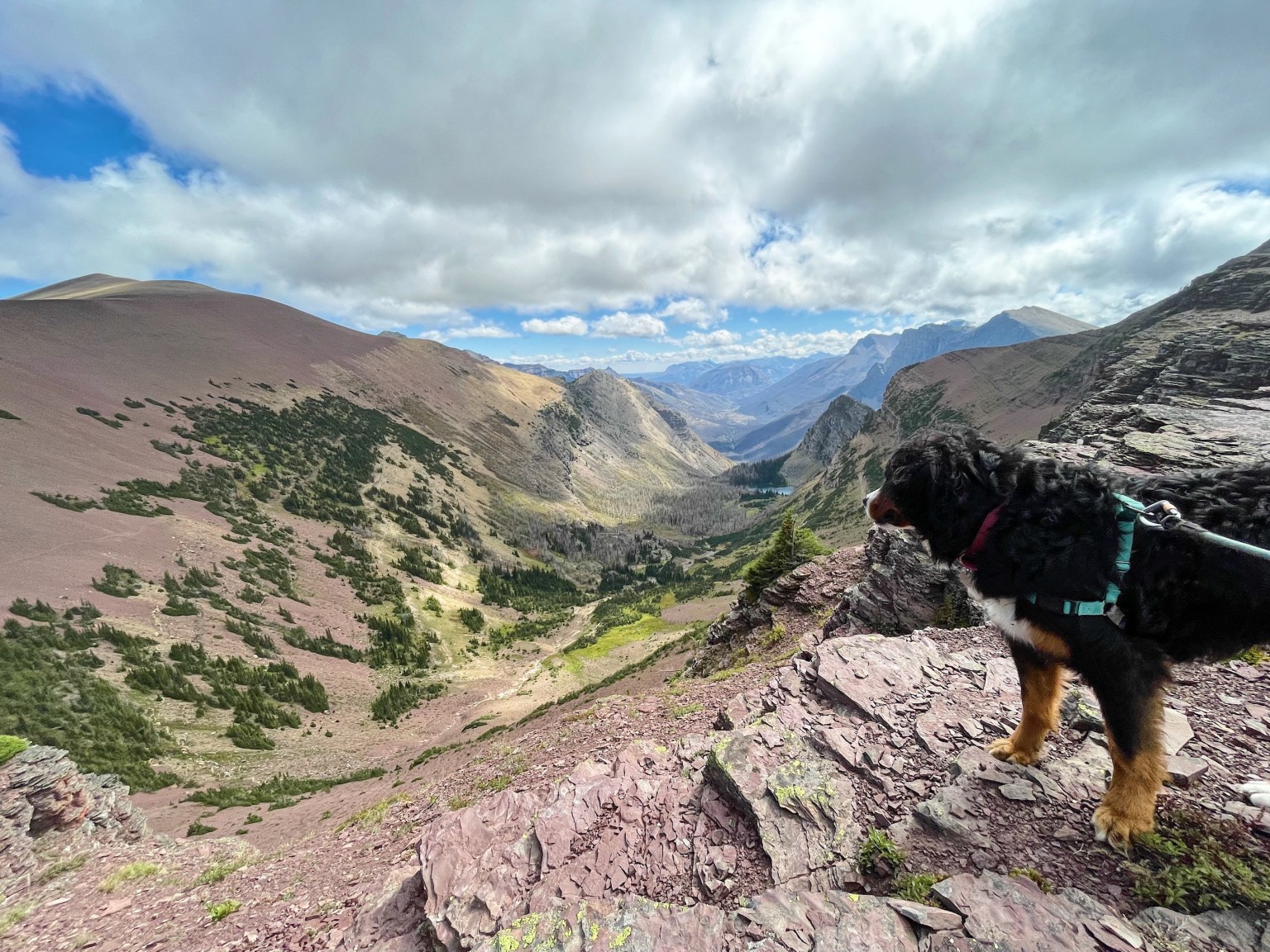 2-Day Goat Lake Hike and Avion Ridge in Waterton Park - Out & Across