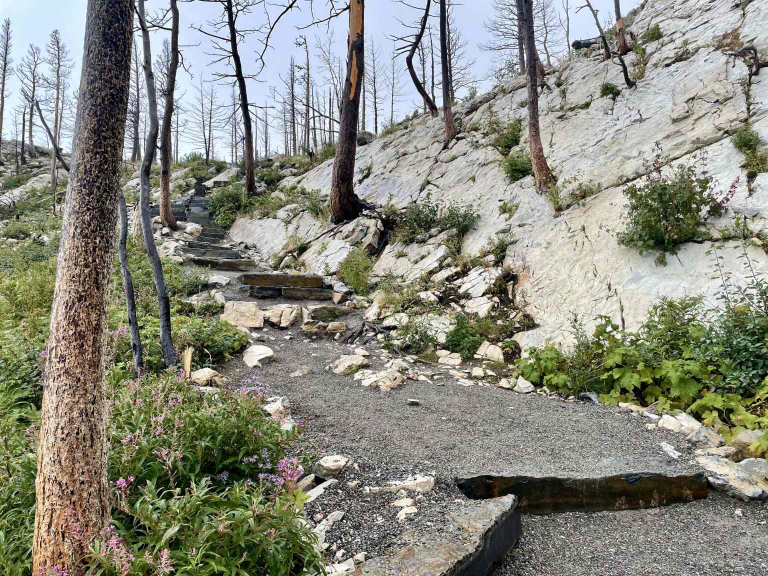 Bear’s Hump Trail in Waterton Lakes National Park – Out and Across