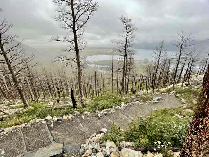 Bear’s Hump Trail in Waterton Lakes National Park – Out and Across