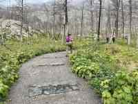 Bear's Hump Trail in Waterton Lakes National Park - Out & Across