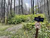 2-Day Goat Lake Hike and Avion Ridge in Waterton Park - Out & Across