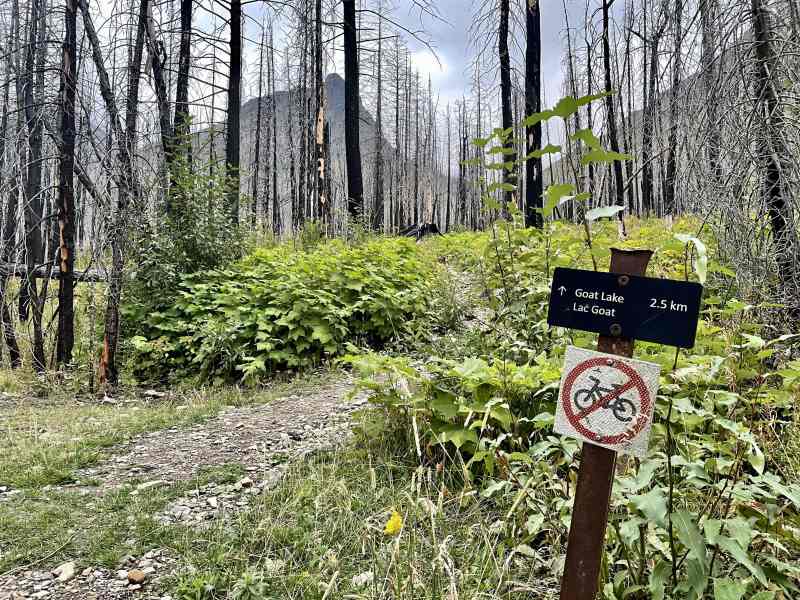 2-Day Goat Lake Hike and Avion Ridge in Waterton Park - Out & Across