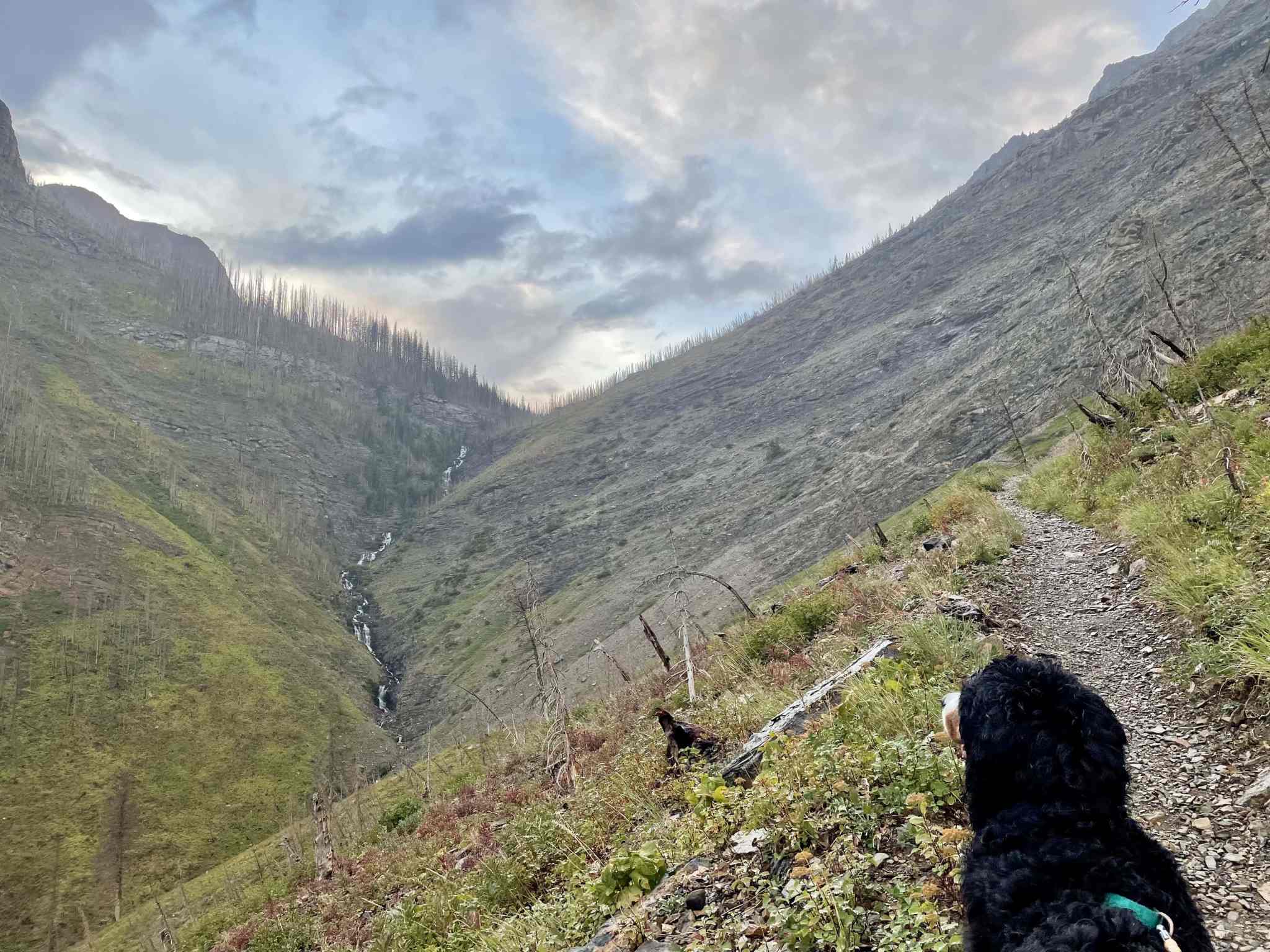 2-Day Goat Lake Hike and Avion Ridge in Waterton Park - Out & Across