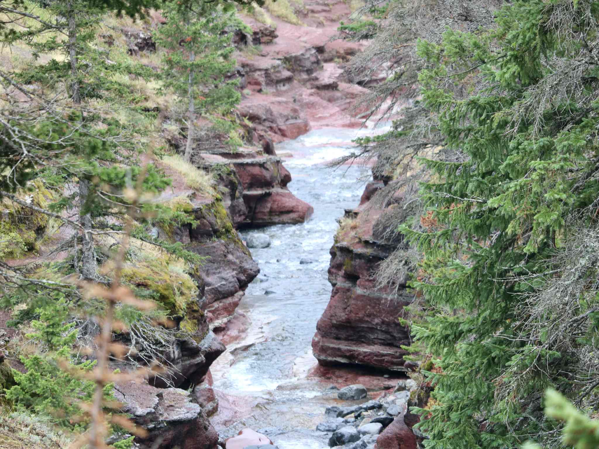 Red Rock Canyon in Waterton Lakes National Park - Out & Across