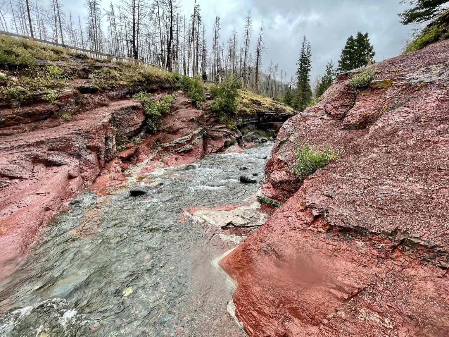 Red Rock Canyon in Waterton Lakes National Park - Out & Across