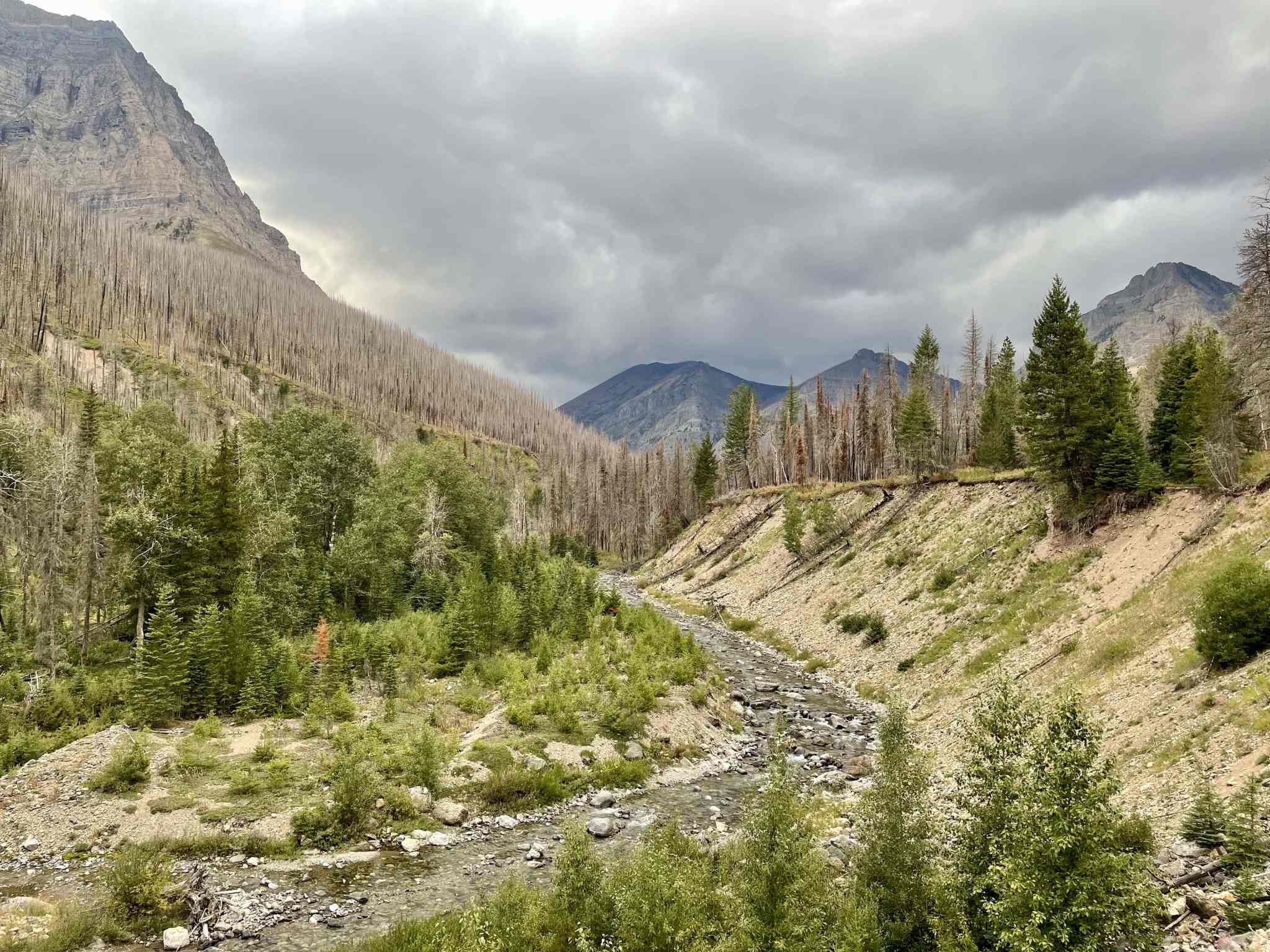 2-Day Goat Lake Hike and Avion Ridge in Waterton Park - Out & Across