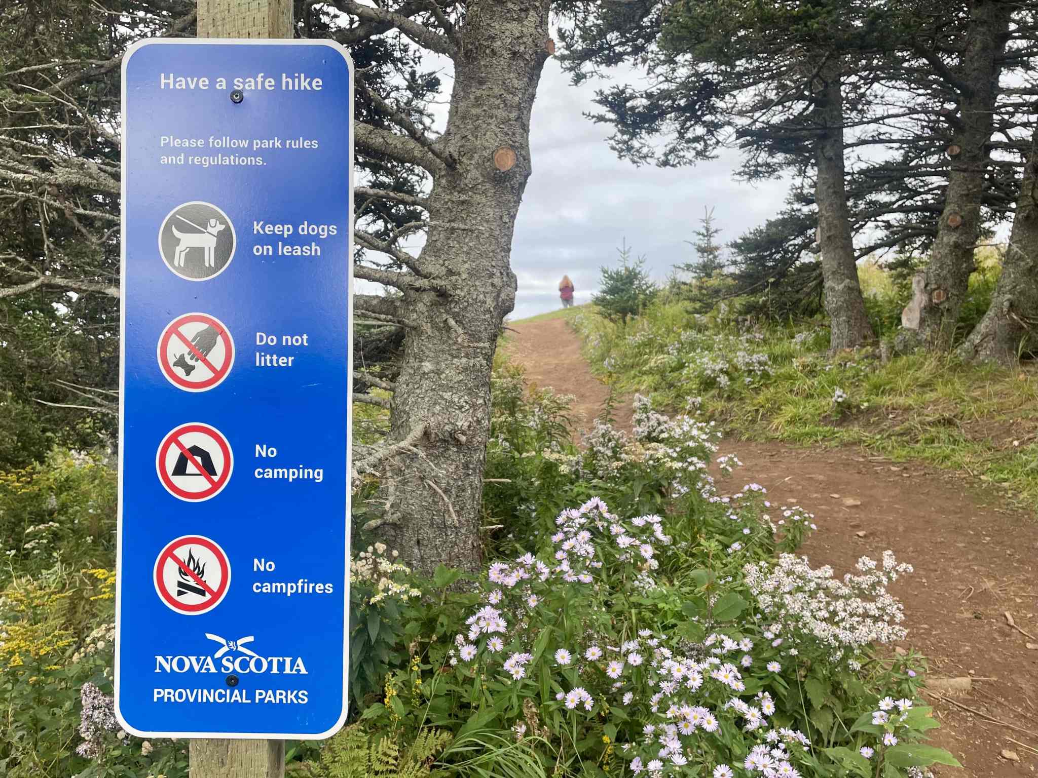 Cape Split Trail: One of the Best Hikes in Nova Scotia - Out and Across