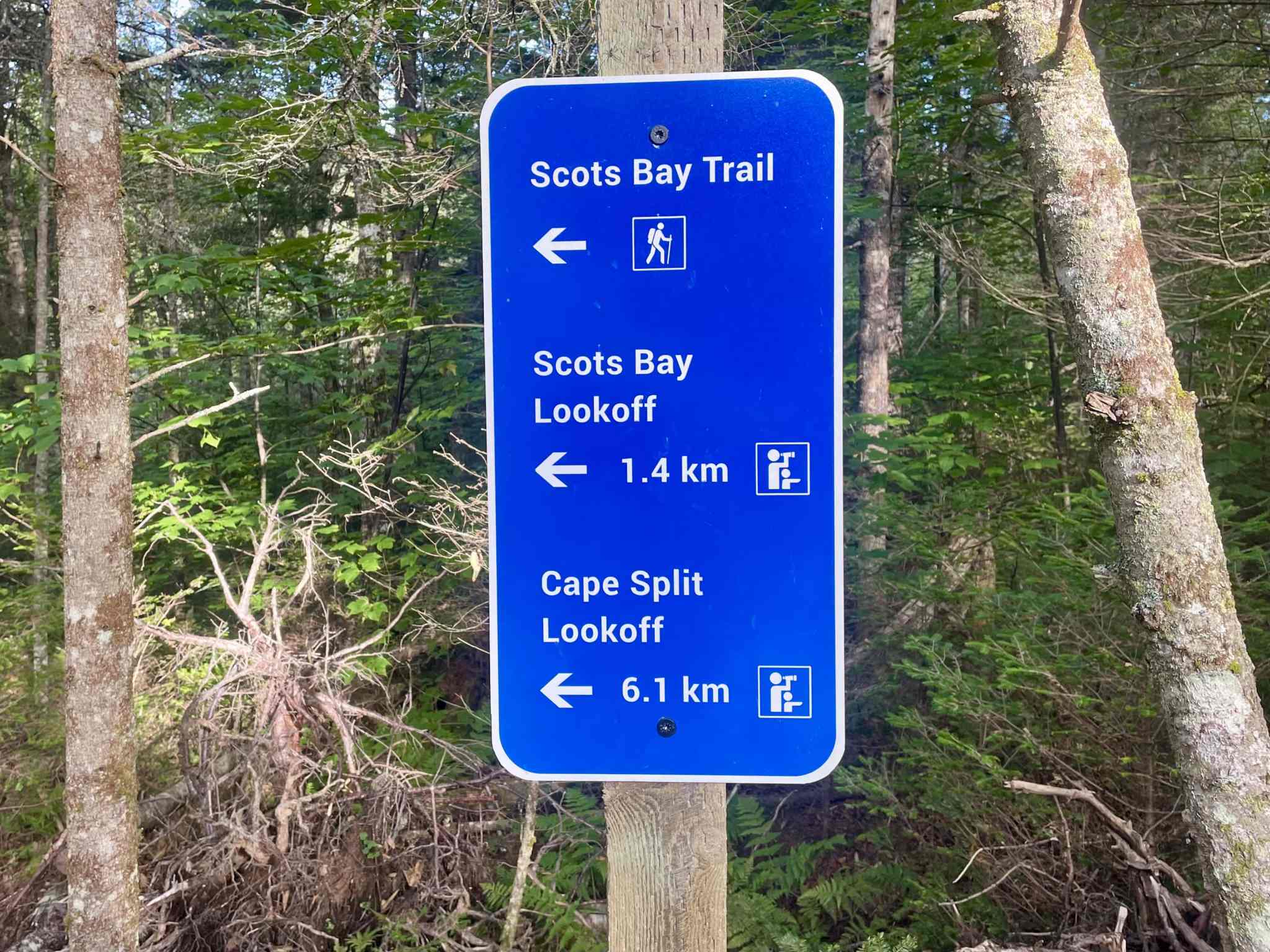 Cape Split Trail: One of the Best Hikes in Nova Scotia - Out & Across