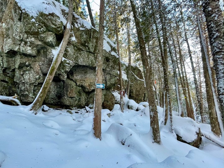 Sam Orr Pond Trail in the Caughey-Taylor Nature Preserve - Out & Across