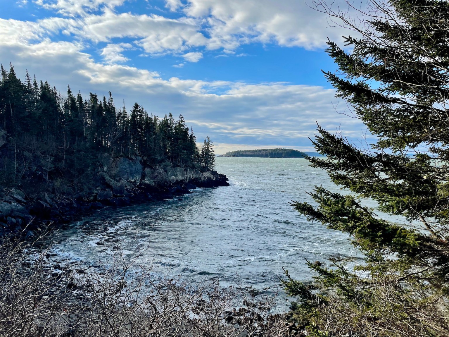 Barnaby Head Trail in New River Beach Provincial Park - Out & Across