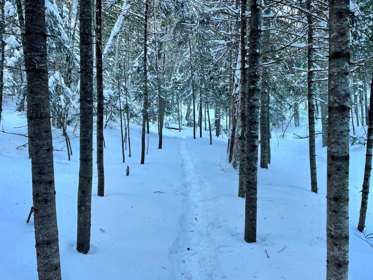 Parlee Brook Amphitheatre Trail Near Sussex, New Brunswick - Out & Across
