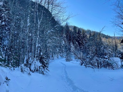 Parlee Brook Amphitheatre Trail Near Sussex, New Brunswick - Out & Across