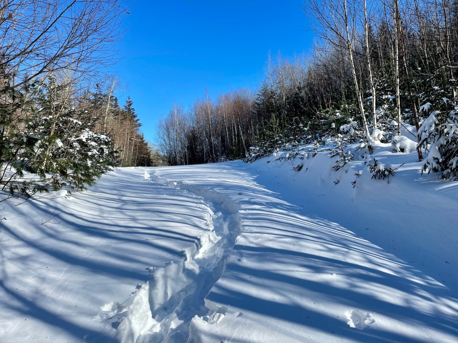 Parlee Brook Amphitheatre Trail Near Sussex, New Brunswick - Out & Across