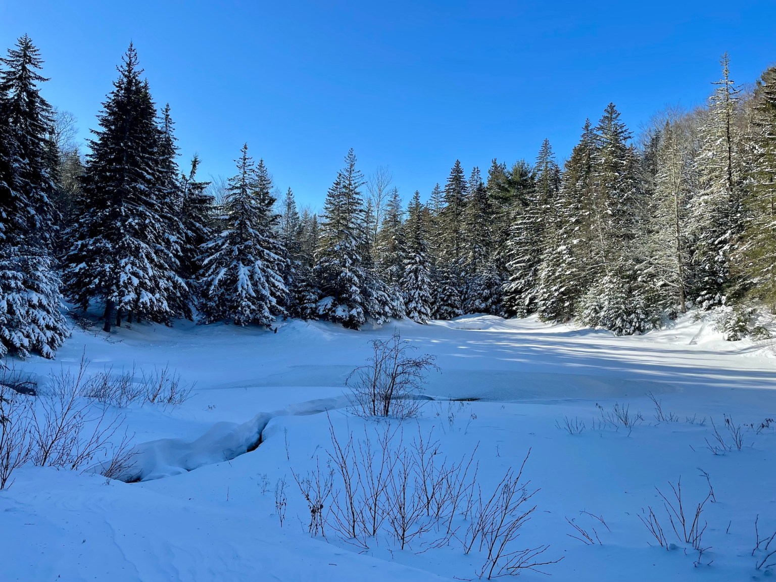Parlee Brook Amphitheatre Trail Near Sussex, New Brunswick - Out & Across
