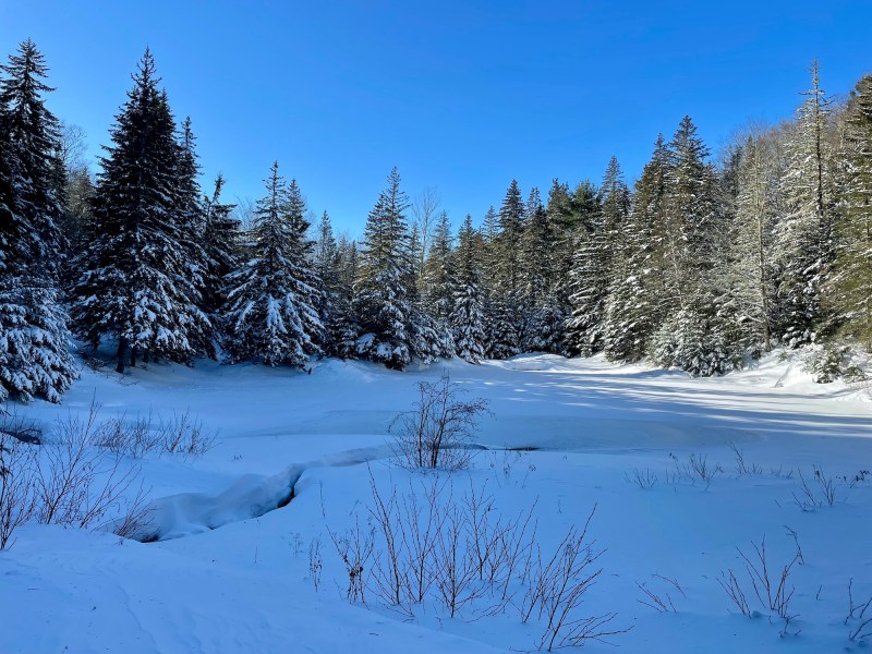 Parlee Brook Amphitheatre Trail Near Sussex, New Brunswick - Out & Across