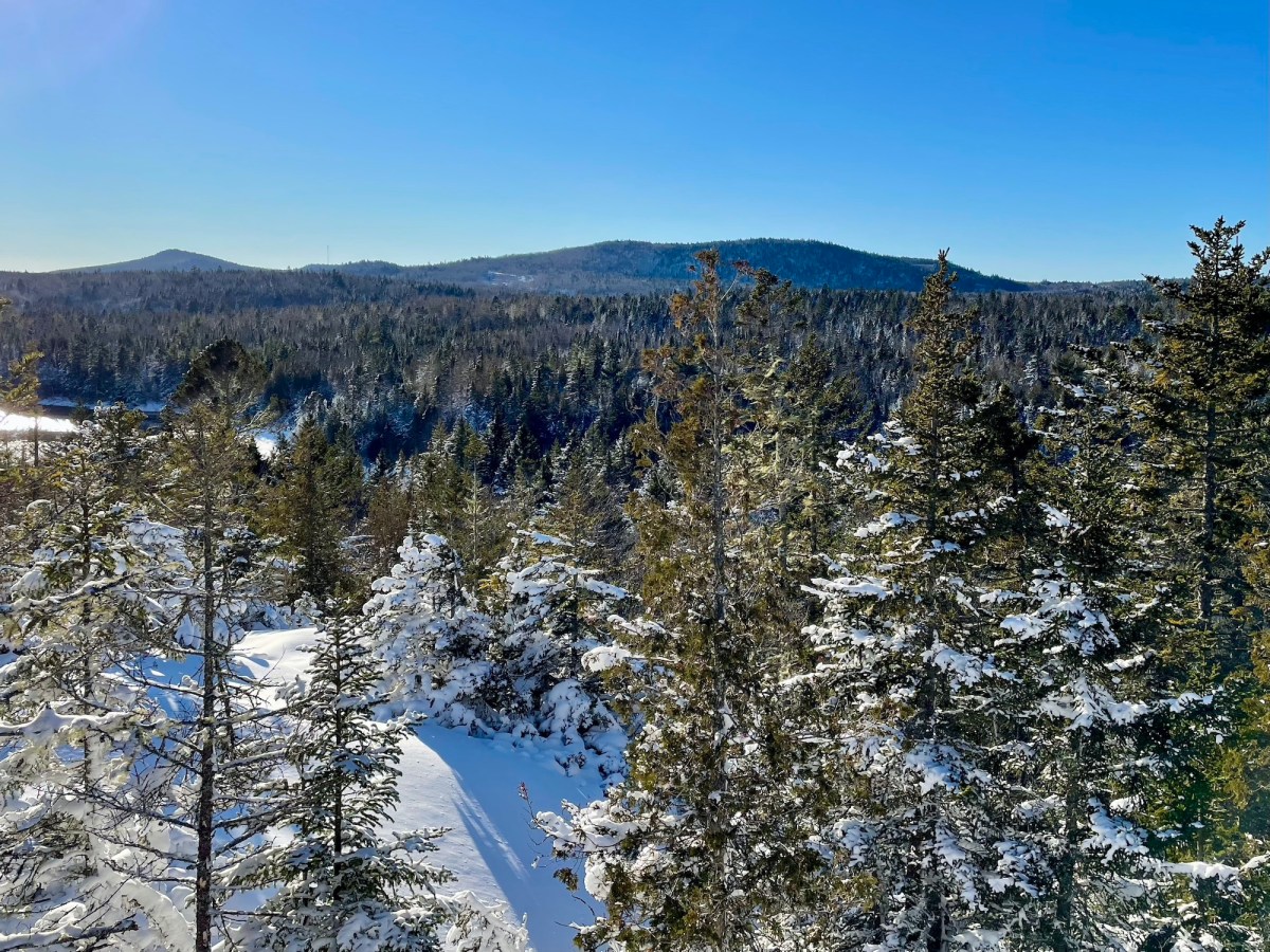 Sam Orr Pond Trail in the Caughey-Taylor Nature Preserve - Out & Across