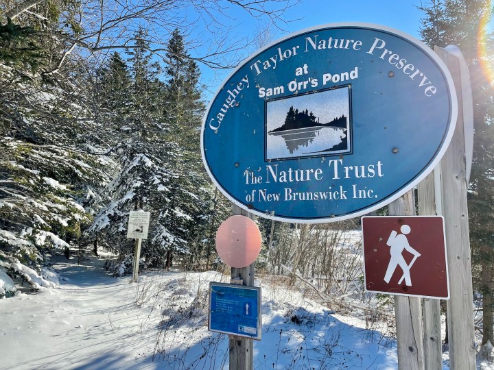 Sam Orr Pond Trail in the Caughey-Taylor Nature Preserve - Out & Across