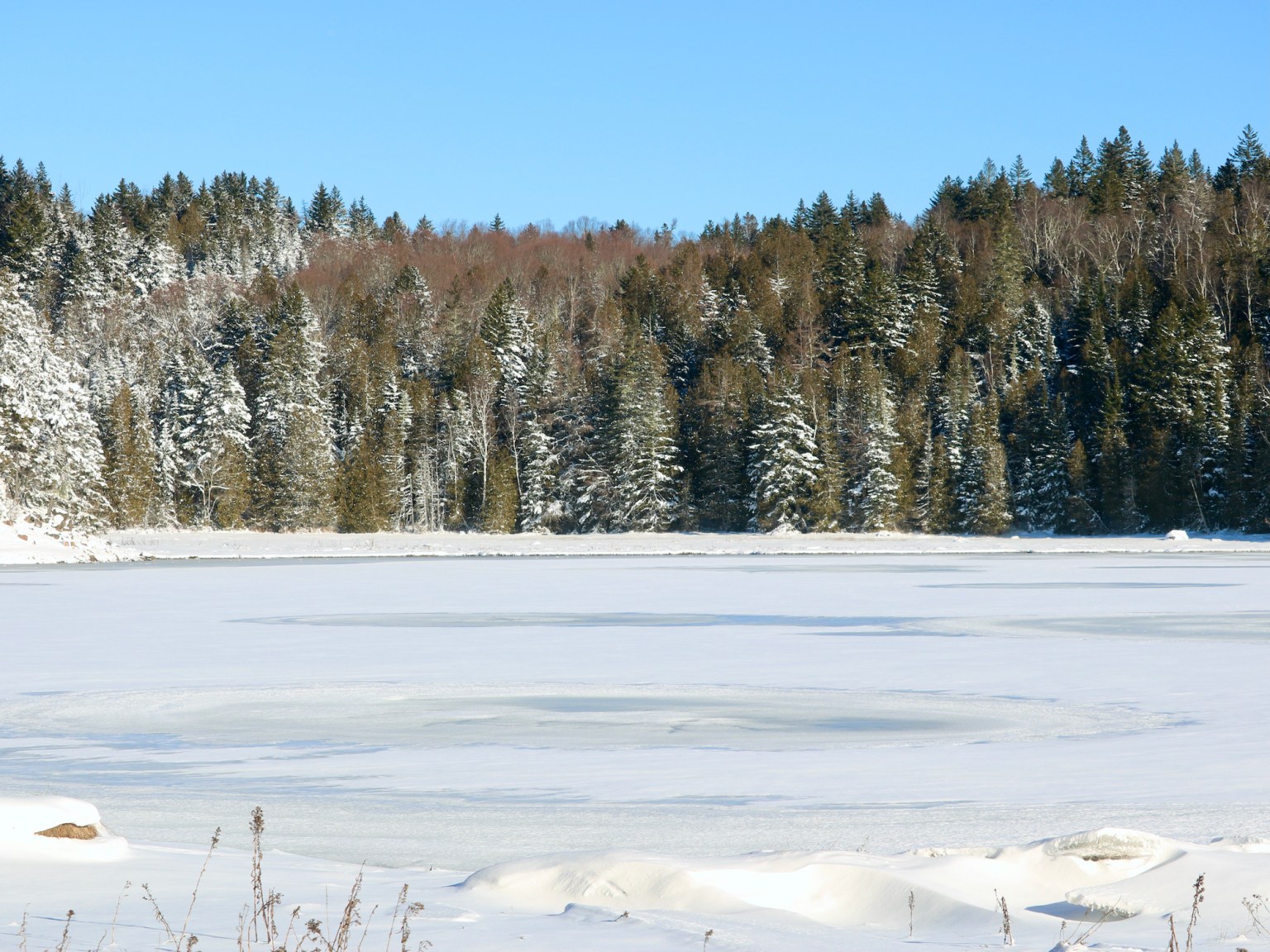 Sam Orr Pond Trail in the Caughey-Taylor Nature Preserve - Out & Across