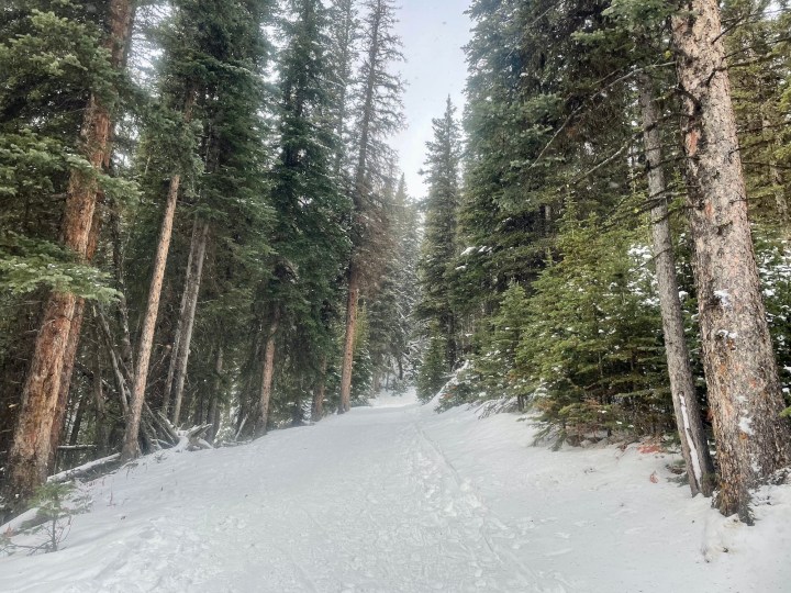 Edworthy Falls Hike in Alberta's Kananaskis Country - Out & Across