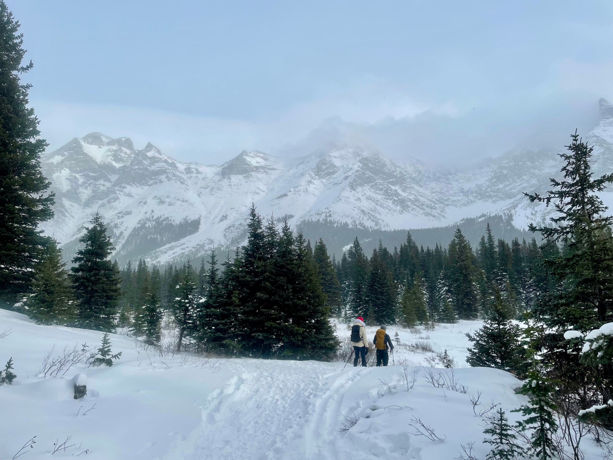 Edworthy Falls Hike in Alberta's Kananaskis Country - Out & Across