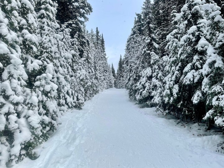 Edworthy Falls Hike in Alberta's Kananaskis Country - Out & Across