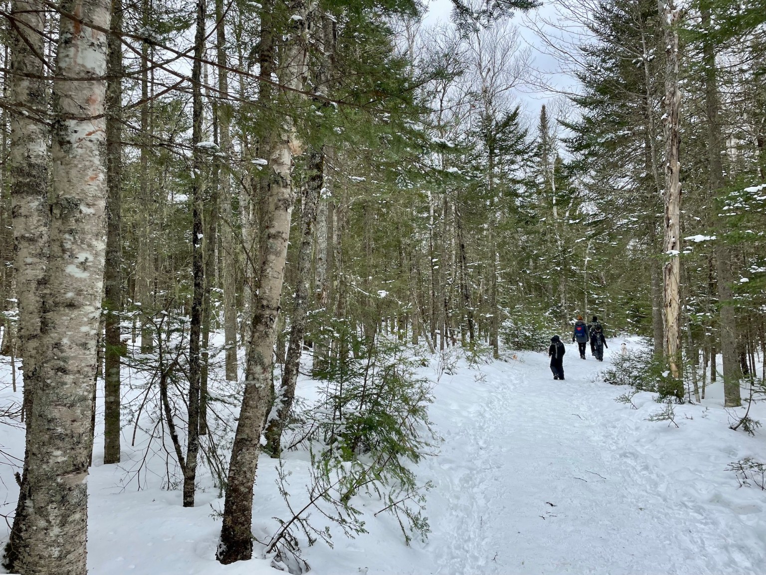 Midland Ice Caves: Family-Friendly New Brunswick Hike - Out & Across